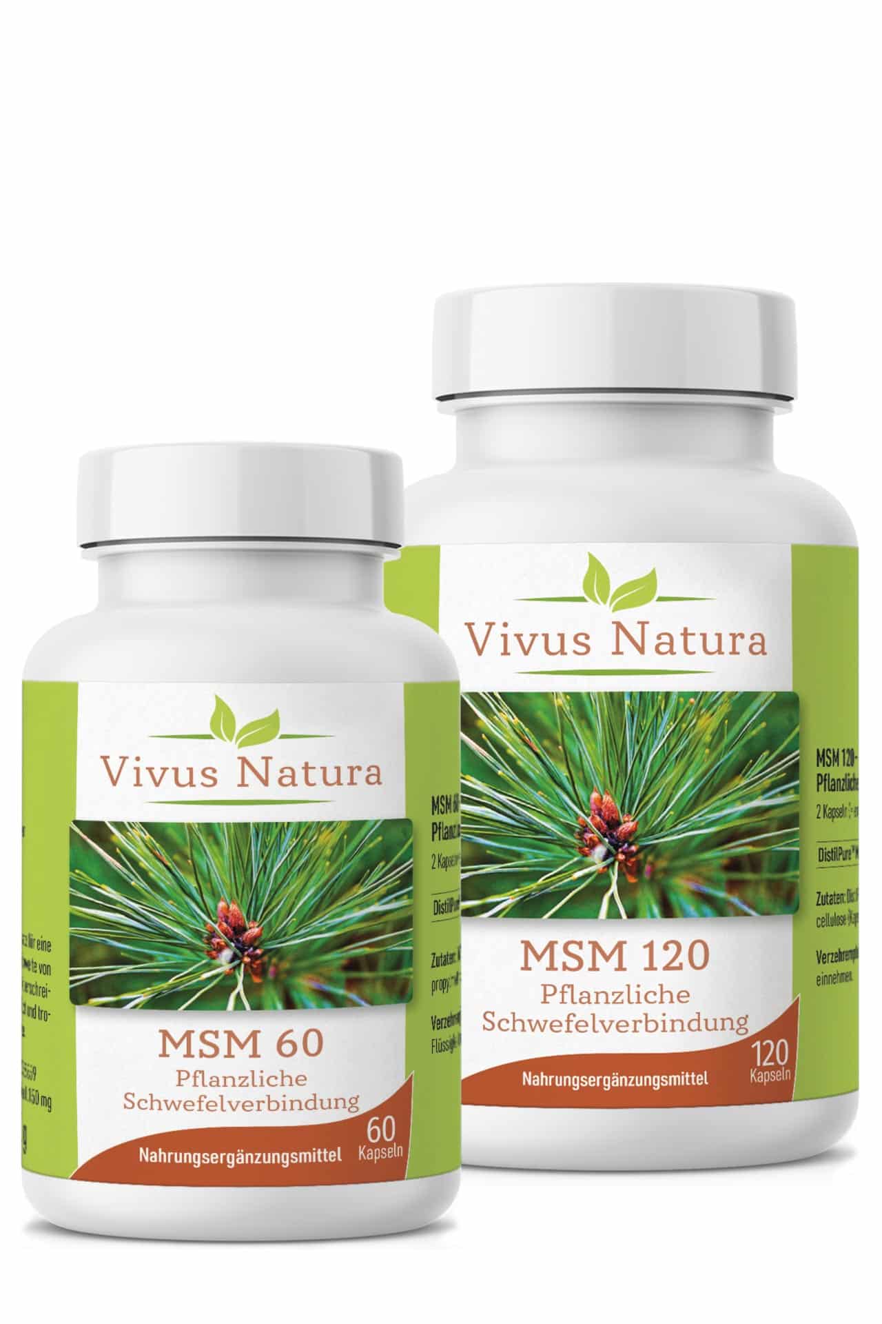 MSM 60 - Vivus Natura